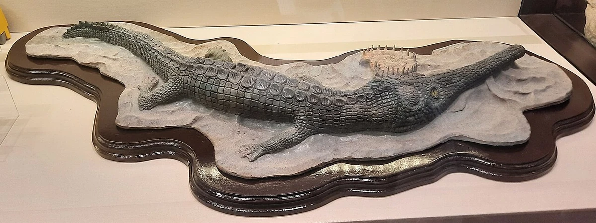 Turnersuchus | Dinopedia | Fandom