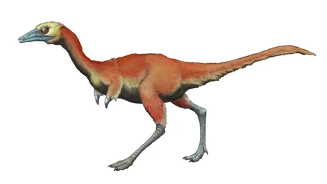 Ceratonykus | Dinopedia | Fandom