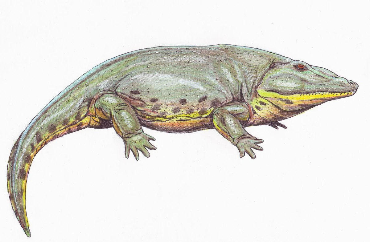 Eryops | Dinopedia | Fandom