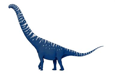 Klamelisaurus | Dinopedia | Fandom