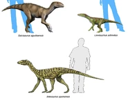 Silesaurus | Dinopedia | Fandom