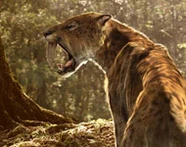 Smilodon | Dinopedia | Fandom