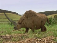 Elasmotherium | Dinopedia | Fandom