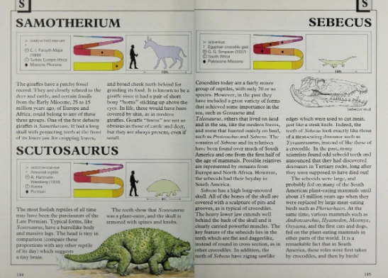 Sebecus | Dinopedia | Fandom