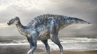 Discuss Everything About Dinopedia | Fandom