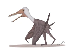 Propterodactylus | Dinopedia | Fandom