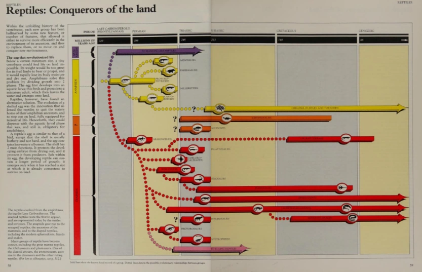 Araeoscelis | Dinopedia | Fandom