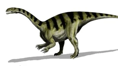 Discuss Everything About Dinopedia | Fandom