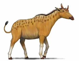 Samotherium | Dinopedia | Fandom