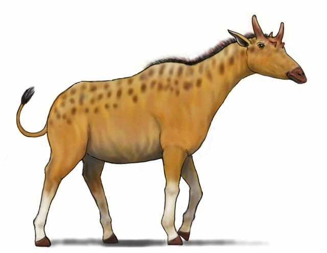 Samotherium | Dinopedia | Fandom