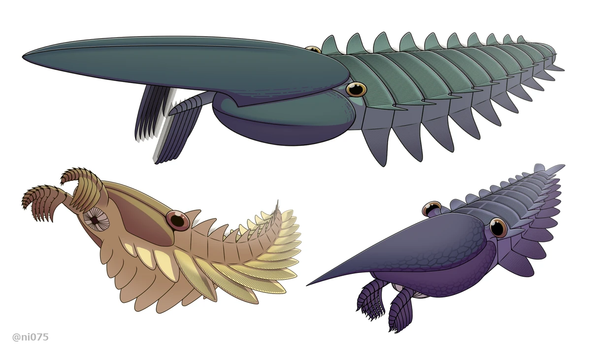 Hurdiidae | Dinopedia | Fandom