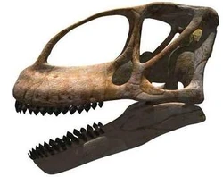 Turiasaurus | Dinopedia | Fandom