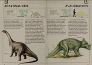 Avaceratops | Dinopedia | Fandom