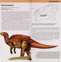Bactrosaurus