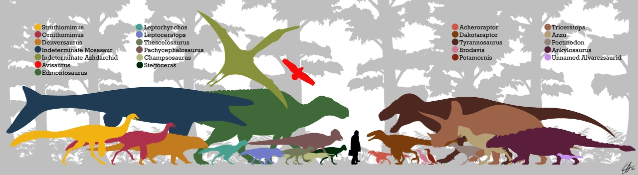 Discuss Everything About Dinopedia | Fandom