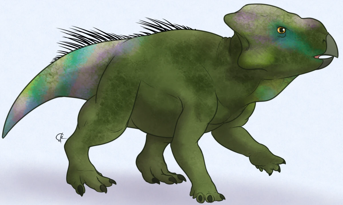 Platyceratops | Dinopedia | Fandom