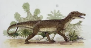 Protosuchus | Dinopedia | Fandom