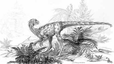 Discuss Everything About Dinopedia | Fandom