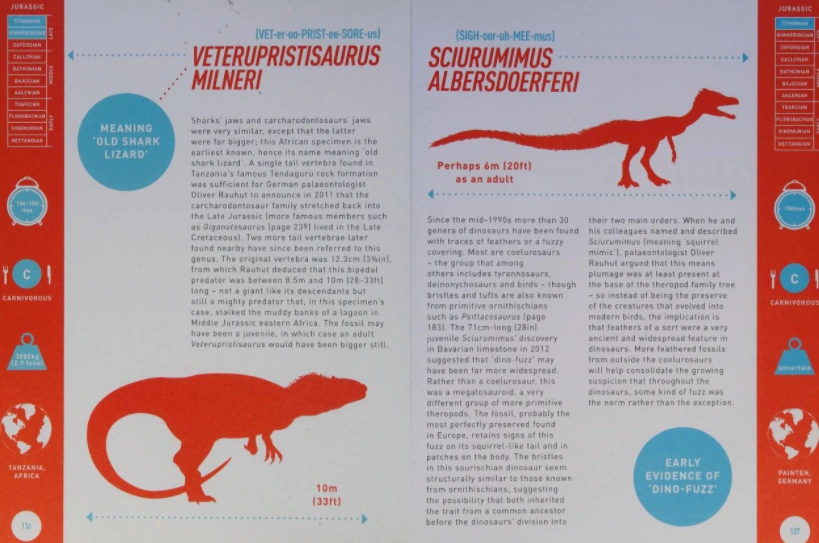Veterupristisaurus | Dinopedia | Fandom