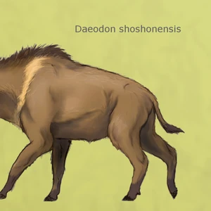 Discuss Everything About Dinopedia | Fandom