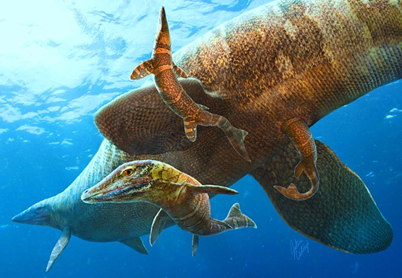 Clidastes | Dinopedia | Fandom