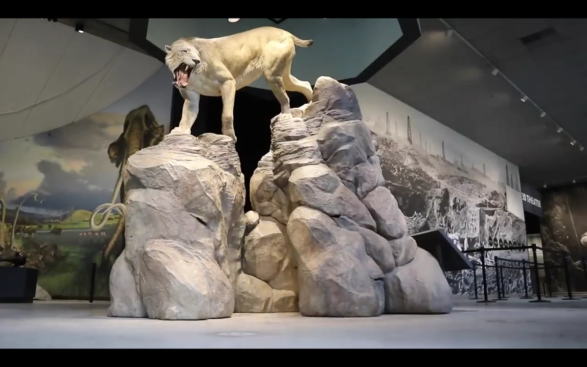 Homotherium | Dinopedia | Fandom