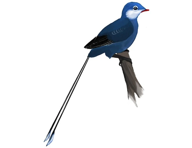 Dapingfangornis | Dinopedia | Fandom