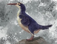 Waimanu | Dinopedia | Fandom