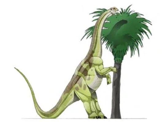 Chubutisaurus | Dinopedia | Fandom