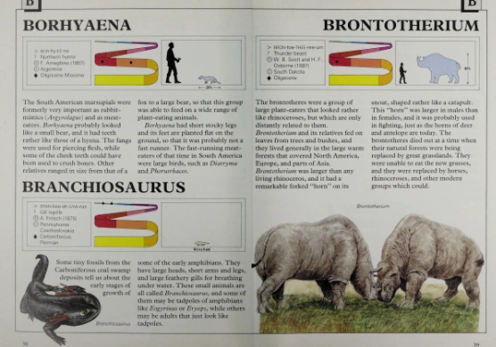 Borhyaena | Dinopedia | Fandom