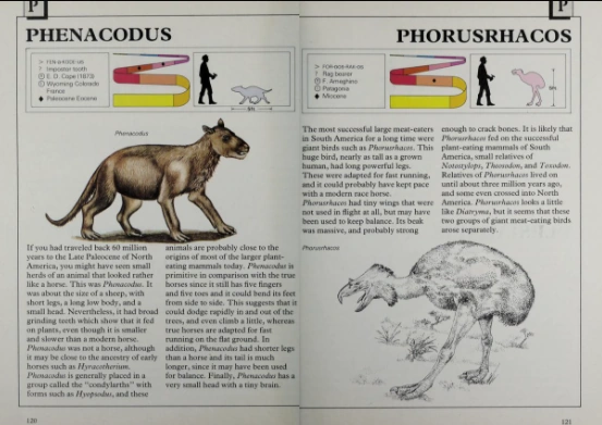 Phenacodus | Dinopedia | Fandom
