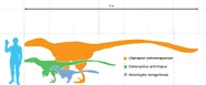 Dromaeosauridae | Dinopedia | Fandom