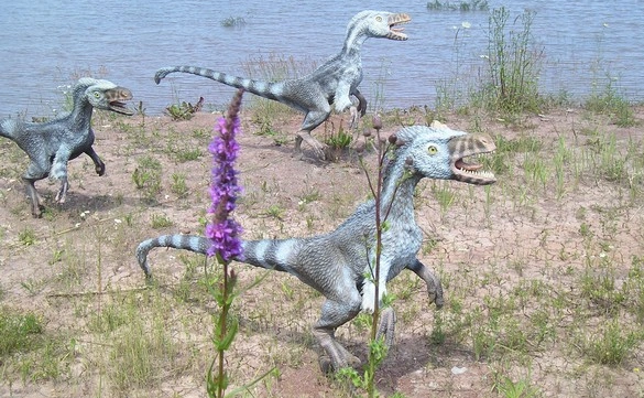 Pamparaptor | Dinopedia | Fandom