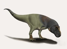 Tarbosaurus | Dinopedia | Fandom