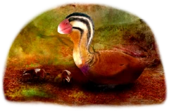 Gastornis | Dinopedia | Fandom