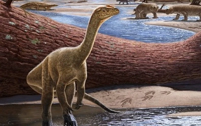 Discuss Everything About Dinopedia | Fandom