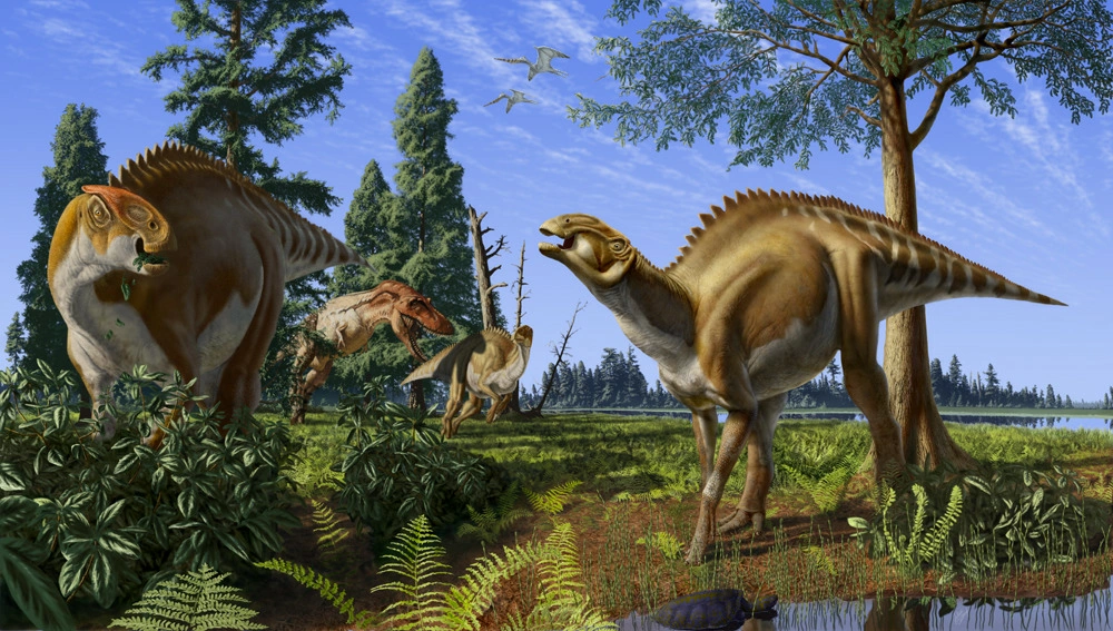 Basilemys | Dinopedia | Fandom