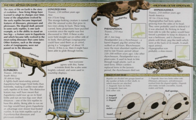 Hypsognathus | Dinopedia | Fandom