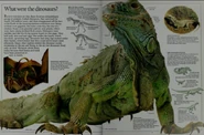 Proterosuchus | Dinopedia | Fandom