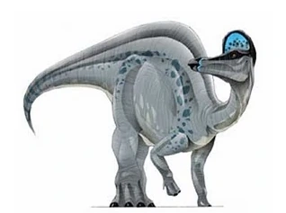 Pteropelyx | Dinopedia | Fandom