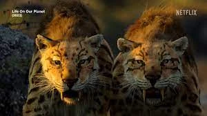 Smilodon | Dinopedia | Fandom