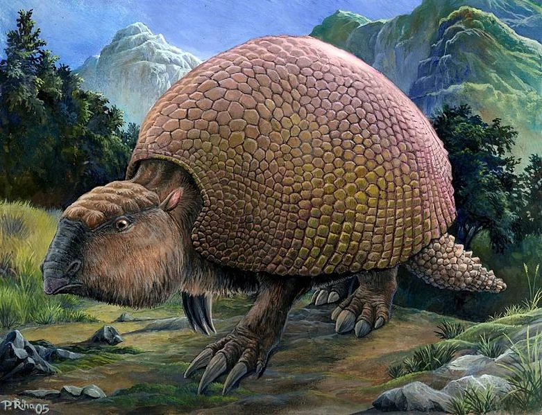 Pletodontide