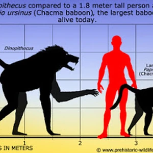 Discuss Everything About Dinopedia | Fandom