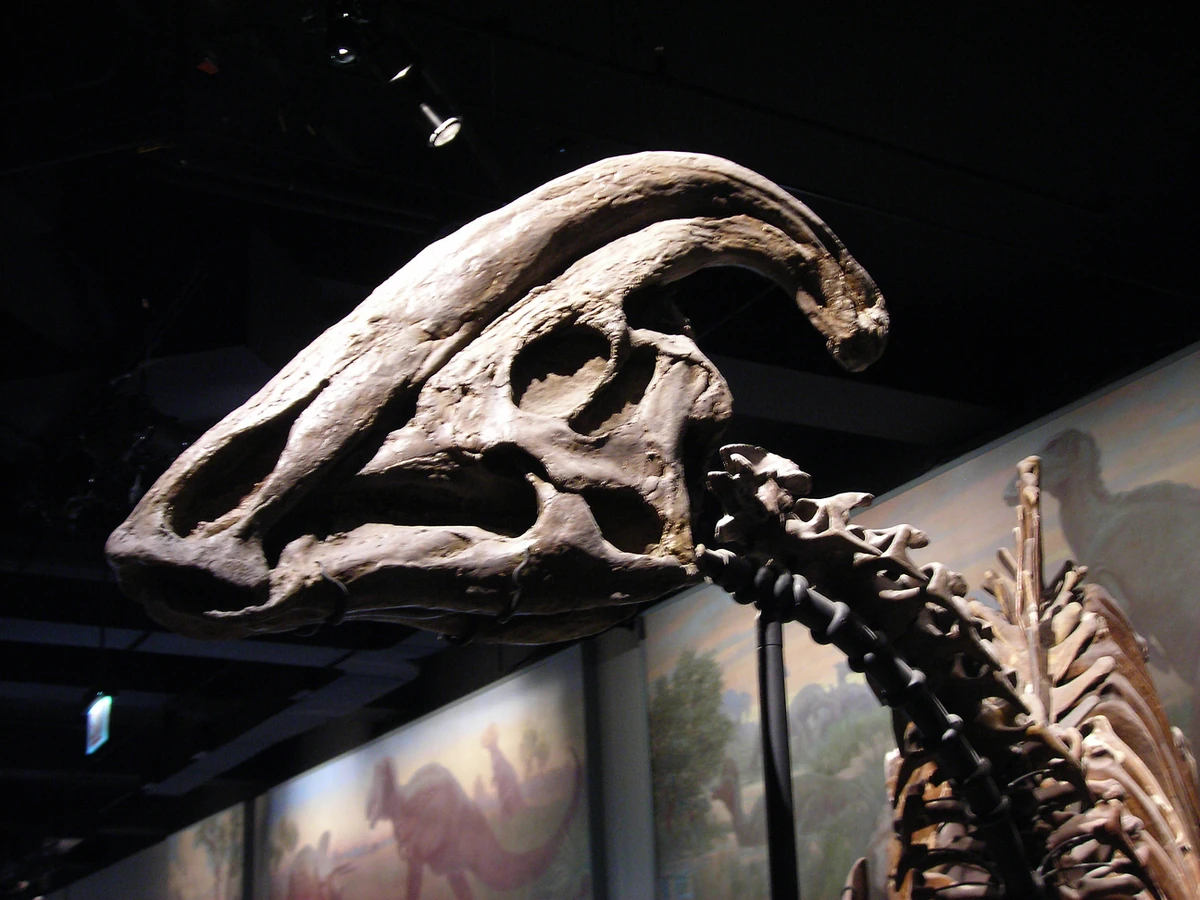 Waking the T. rex: The Story of SUE | Dinopedia | Fandom
