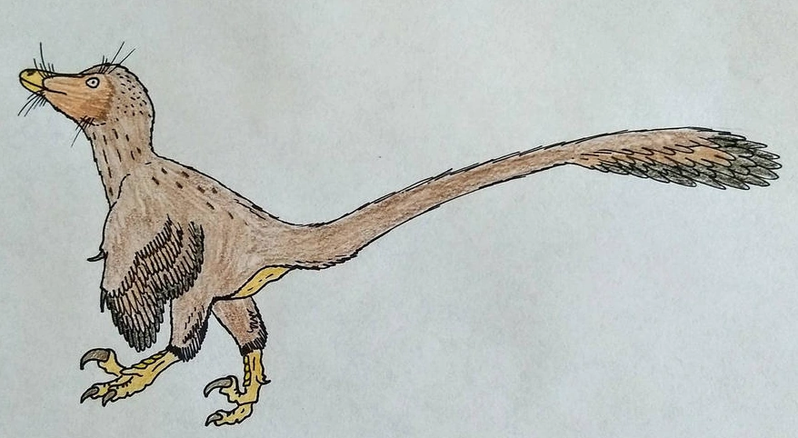 Shri | Dinopedia | Fandom