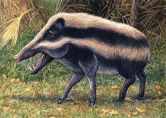 Mylohyus | Dinopedia | Fandom