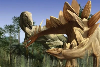 Stegosaurus | Dinosaursandanimal231 Wikia | Fandom