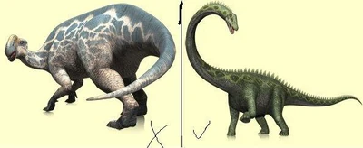 Diplodocus | DinosaursfromTriassic-Cretaceous Wiki | Fandom