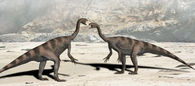 Plateosaurus | DinosaursfromTriassic-Cretaceous Wiki | Fandom
