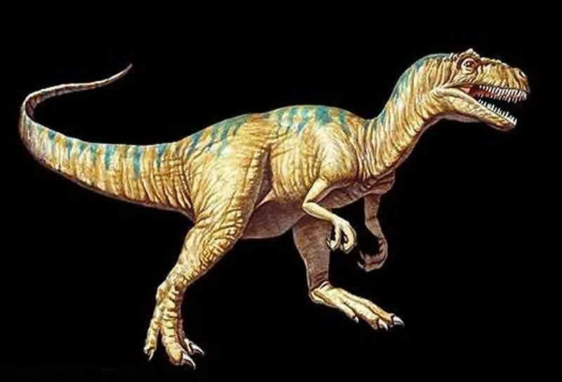 Albertosaurus | DinosaursfromTriassic-Cretaceous Wiki | Fandom